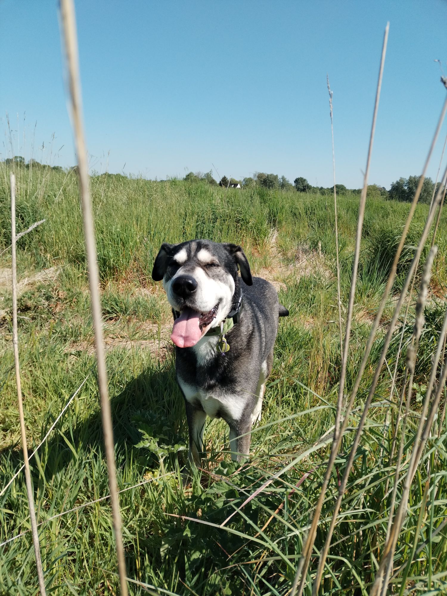 Some of our recent walks – Let's Bork