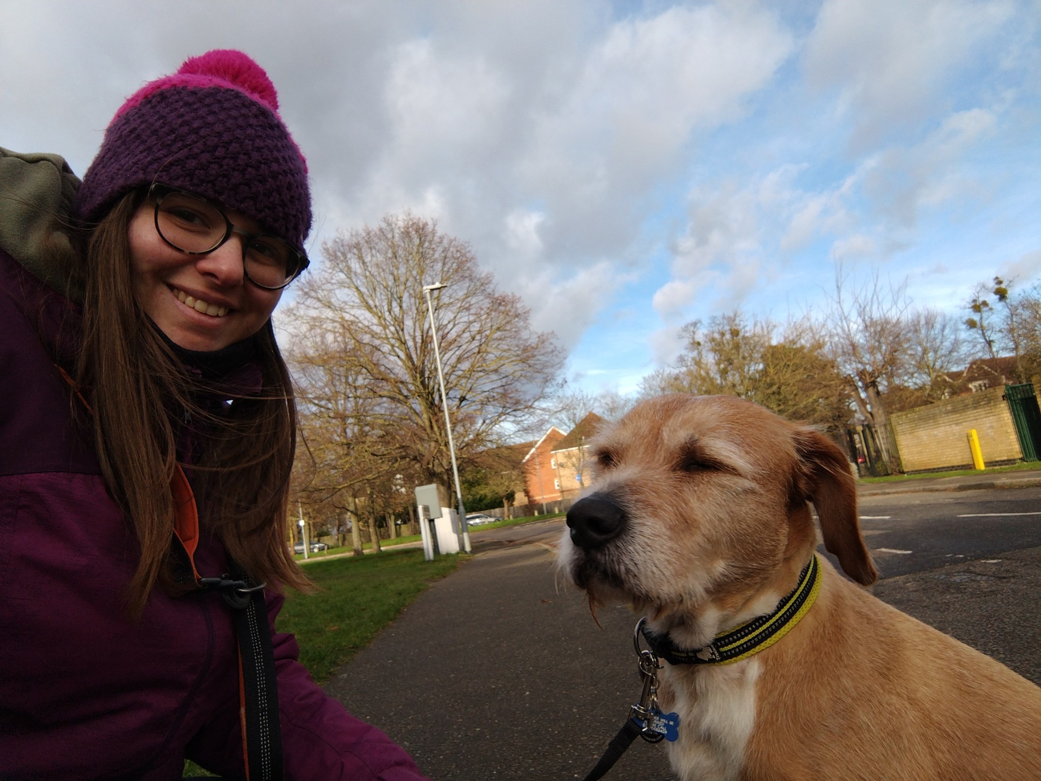 🐾Dog Walking – Let's Bork