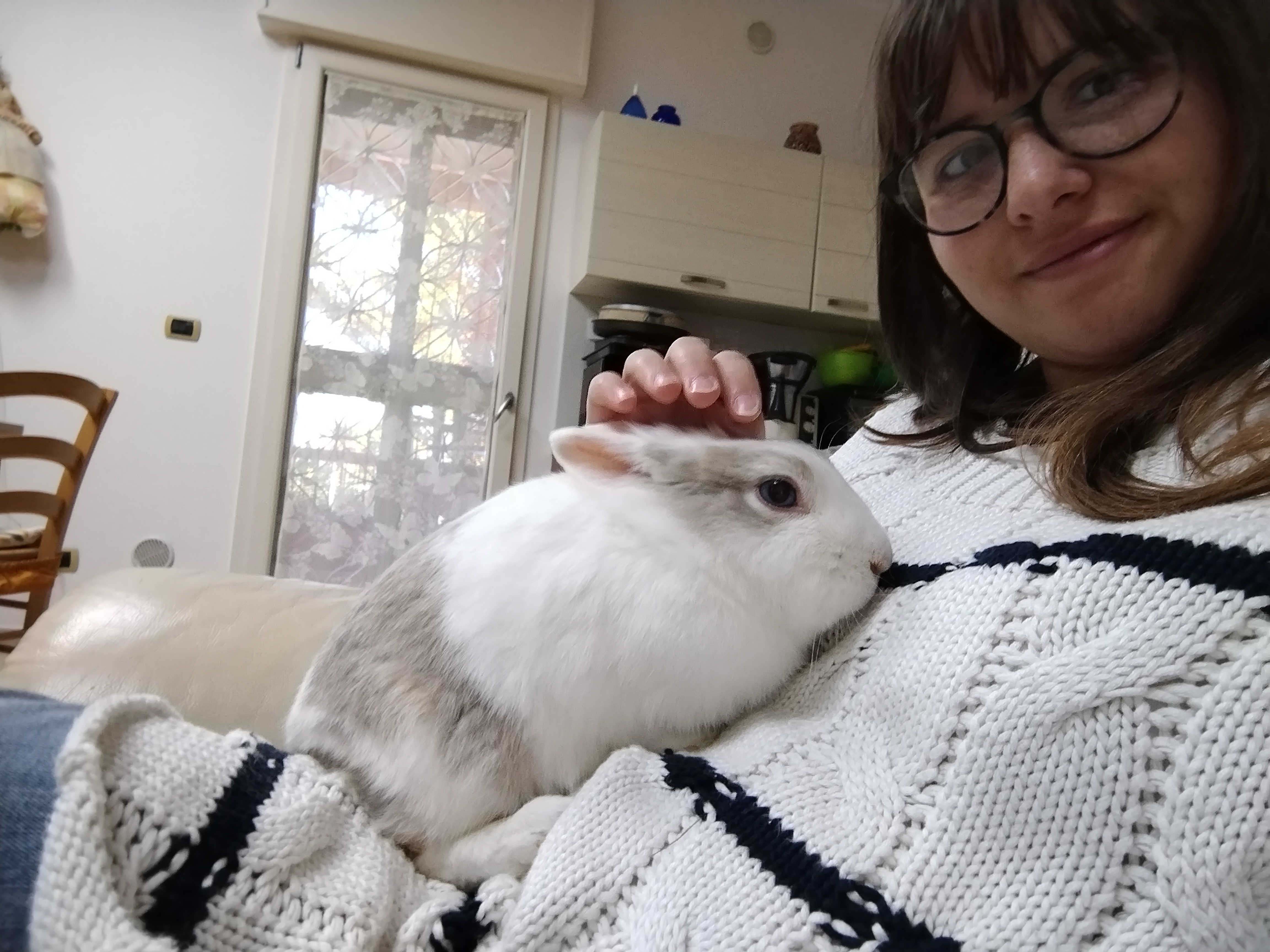 🐶😺🐰Someone to Care While You’re Away – Let's Bork